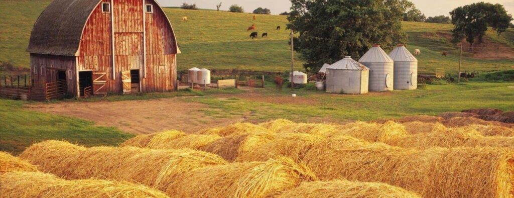 Embracing the Future: The Latest Innovations in Agriculture in Israel ...